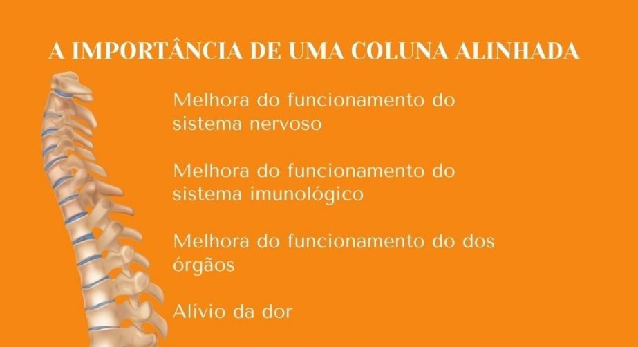 Coluna alinhada Importância - Quiropraxia em Goiânia